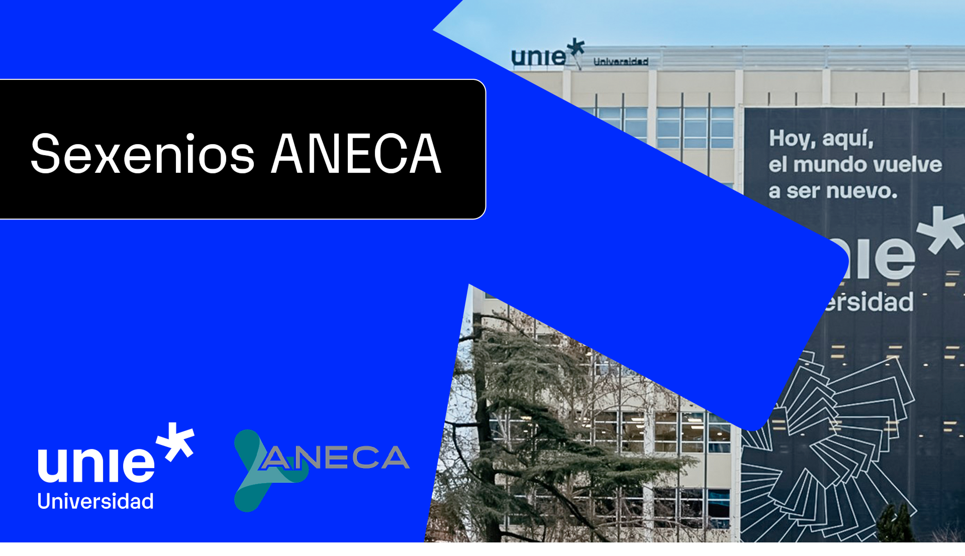 UNIE logra el 88,89% en sexenios ANECA 2024